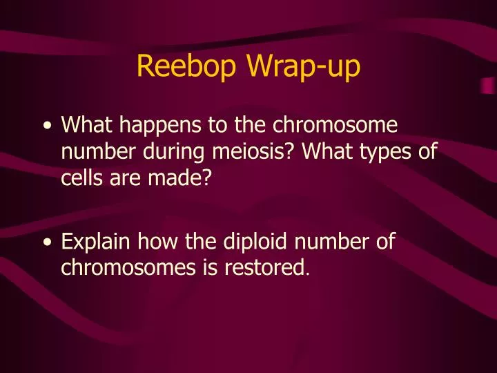 PPT - Reebop Wrap-up PowerPoint Presentation, free download - ID:4601663