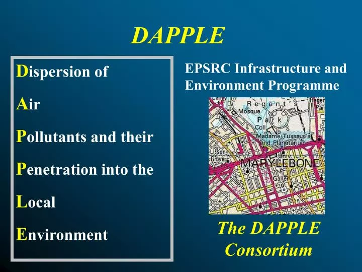 PPT - DAPPLE PowerPoint Presentation, free download - ID:4602319