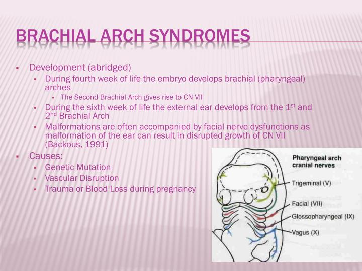 PPT - Facial Palsy PowerPoint Presentation - ID:4602806