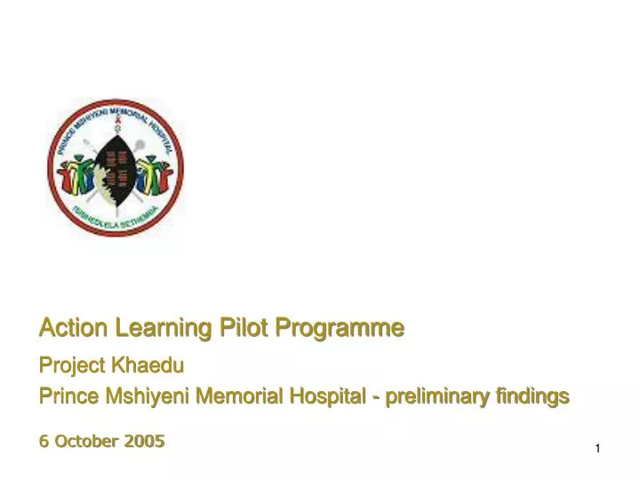 PPT - Action Learning Pilot Programme PowerPoint Presentation, free ...