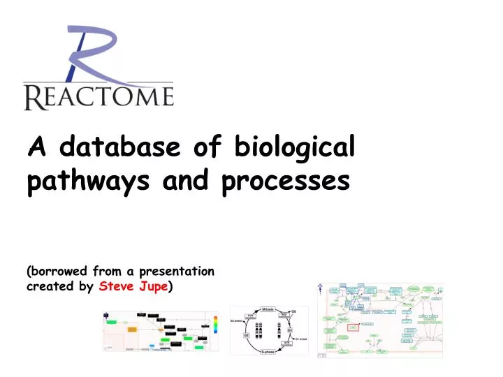 PPT - biocyc/ARA/new-image?type=PATHWAY&object=PWY-695 PowerPoint ...