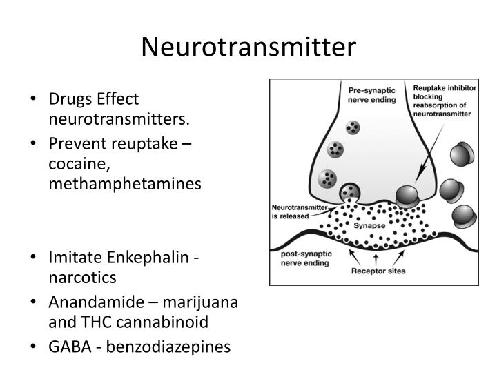 PPT - Drug/Narcotics: What are they and what can they do to you ...