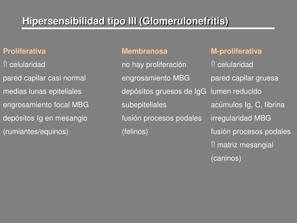 PPT - Reacción de hipersensibilidad tipo III o Enfermedad mediada por ...