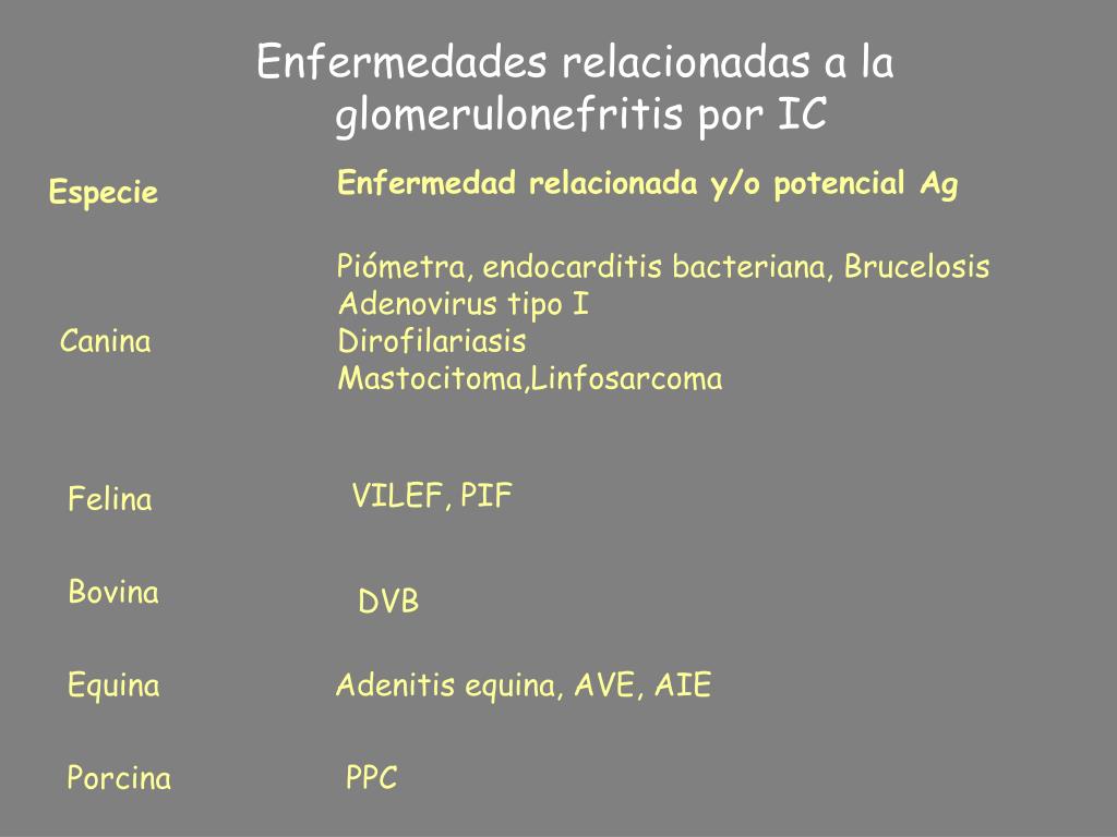PPT - Reacción de hipersensibilidad tipo III o Enfermedad mediada por ...