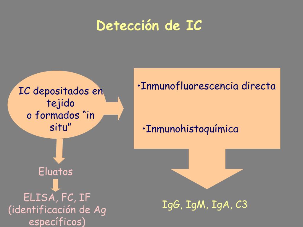 PPT - Reacción de hipersensibilidad tipo III o Enfermedad mediada por ...