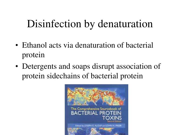 PPT - 10. Amino acids/Proteins Chapter 17 PowerPoint Presentation - ID ...