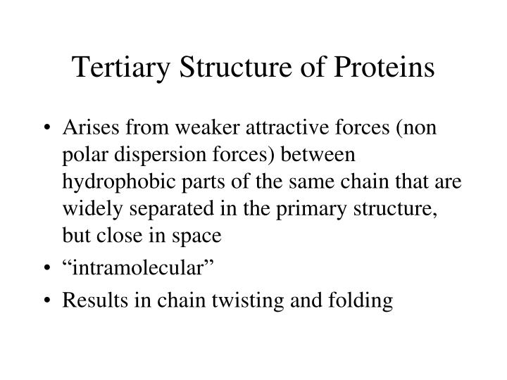 PPT - 10. Amino acids/Proteins Chapter 17 PowerPoint Presentation - ID ...