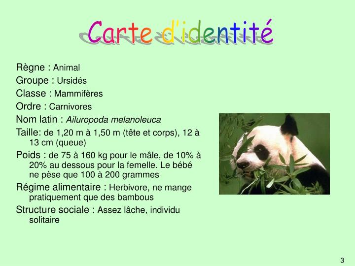 PPT - Le Panda géant PowerPoint Presentation - ID:4605153