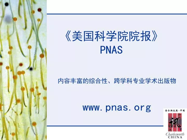 PPT - 《 美国科学院院报 》 PNAS PowerPoint Presentation, free download - ID:4606507