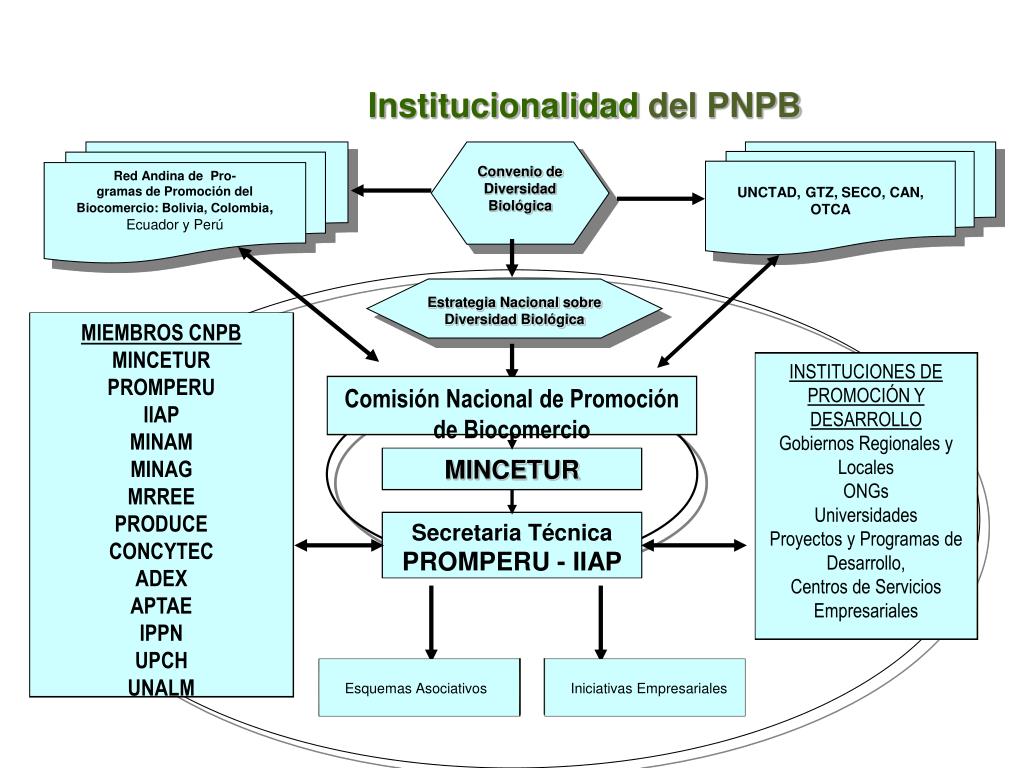 PPT - Puno, 12 de noviembre de 2009 PowerPoint Presentation, free ...