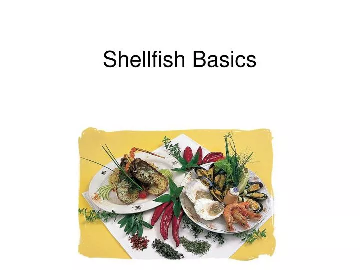 PPT - Shellfish Basics PowerPoint Presentation, free download - ID:4608352