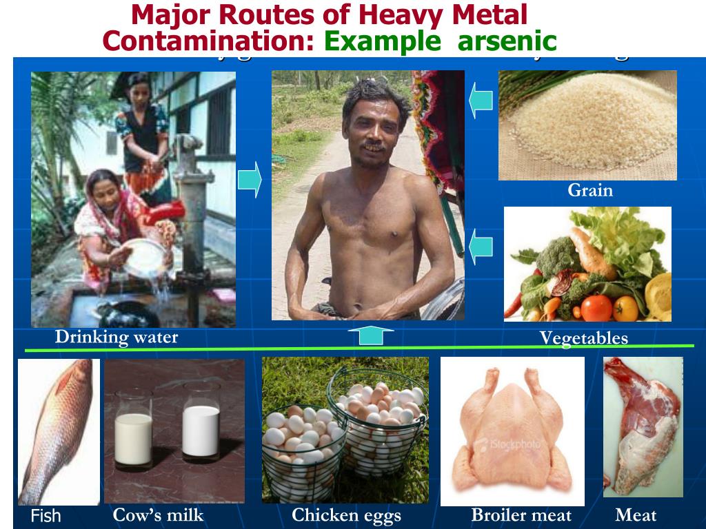 PPT - CONSUMPTION OF UNSAFE FOODS: EVIDENCE FROM HEAVY METAL, MINERAL ...