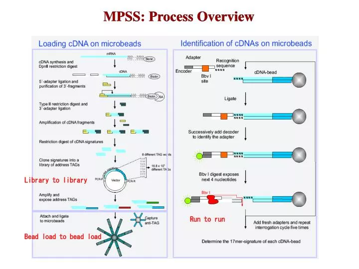 PPT - MPSS: Process Overview PowerPoint Presentation, free download ...