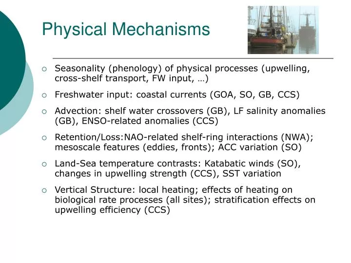 PPT - Physical Mechanisms PowerPoint Presentation, free download - ID ...