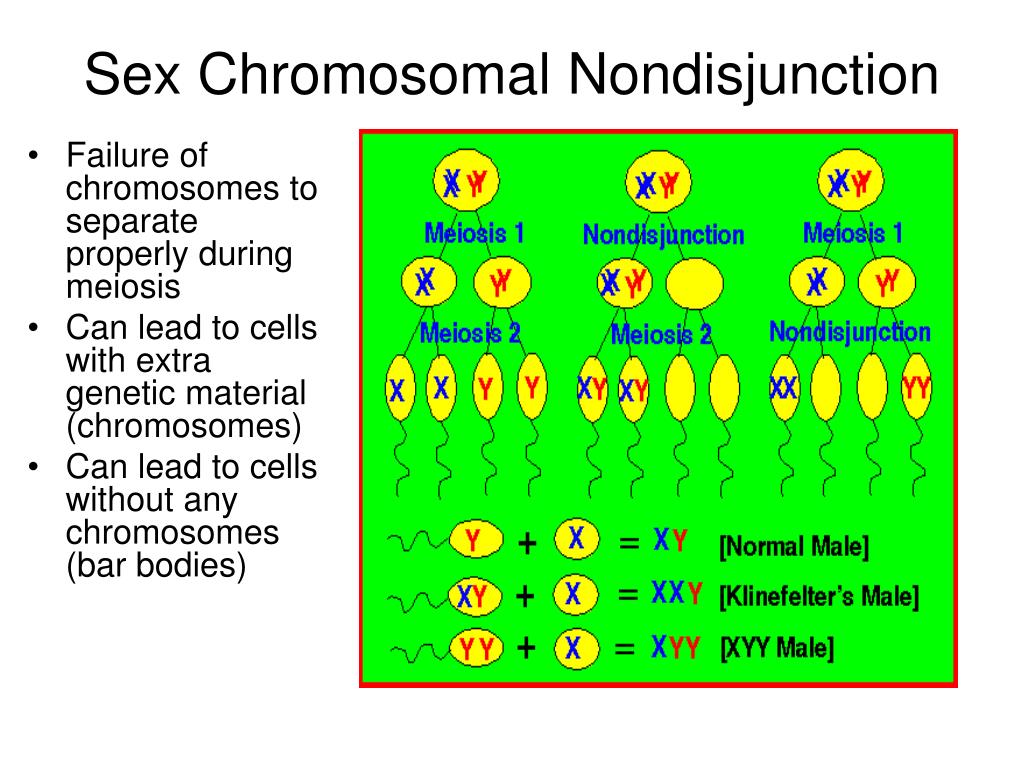 Ppt Chromosomal Mutations And Nondisjunctions Powerpoint Presentation