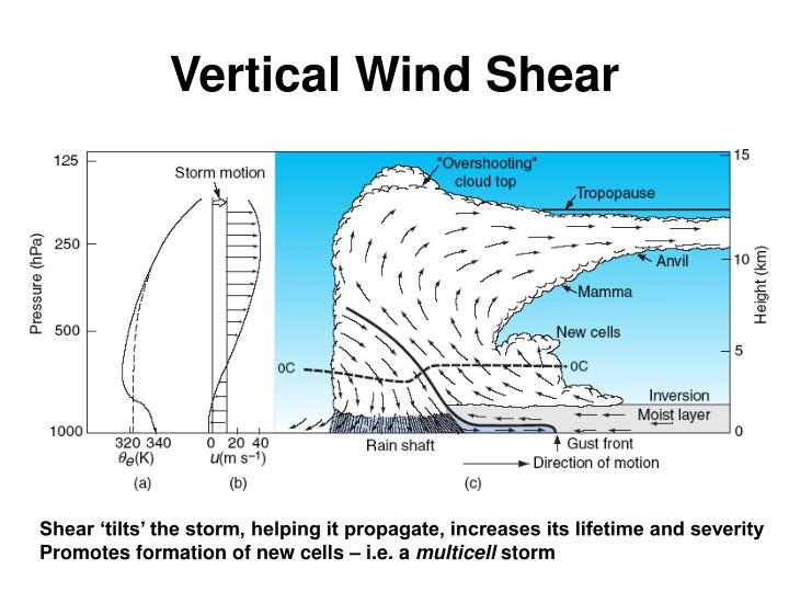 PPT - Thunderstorms: ‘ordinary’ or ‘single cell’ storms, multicell ...