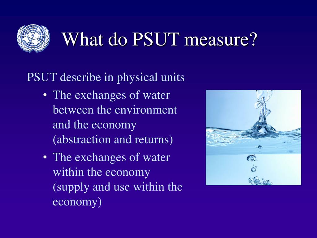 PPT - Ilaria Di Matteo United Nations Statistics Division PowerPoint ...