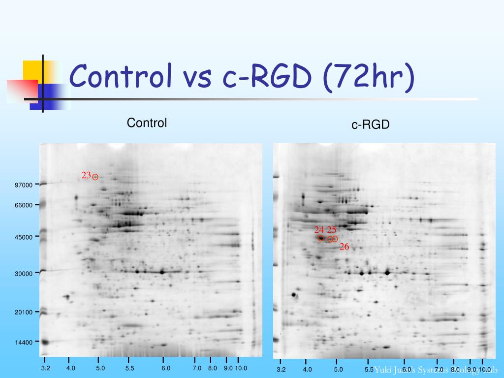 PPT - Systems-Biology Study of RGD Mimetic Peptide in Breast Cancer ...