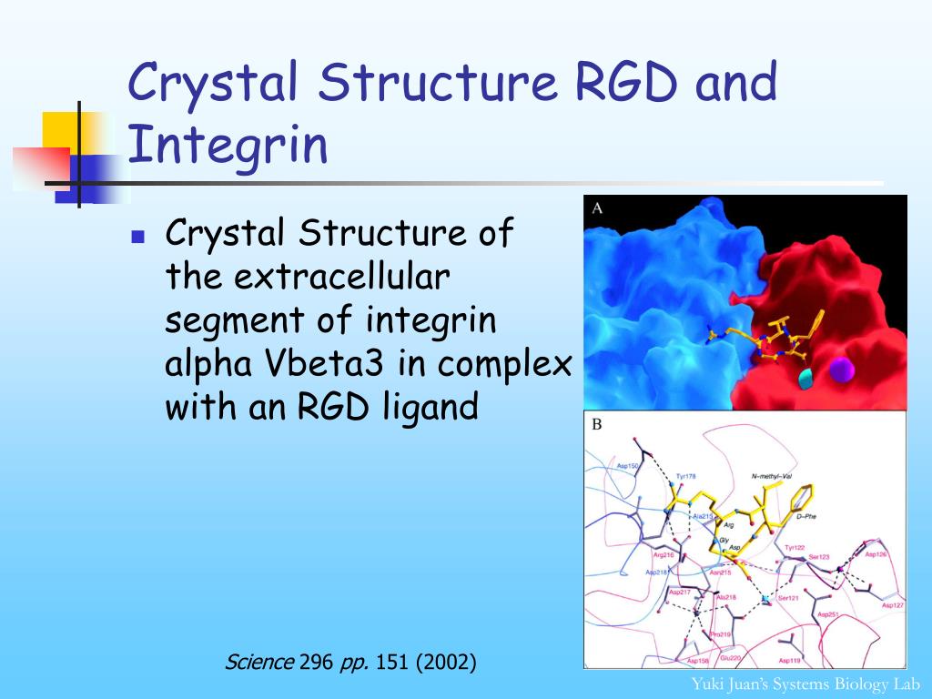 PPT - Systems-Biology Study of RGD Mimetic Peptide in Breast Cancer ...