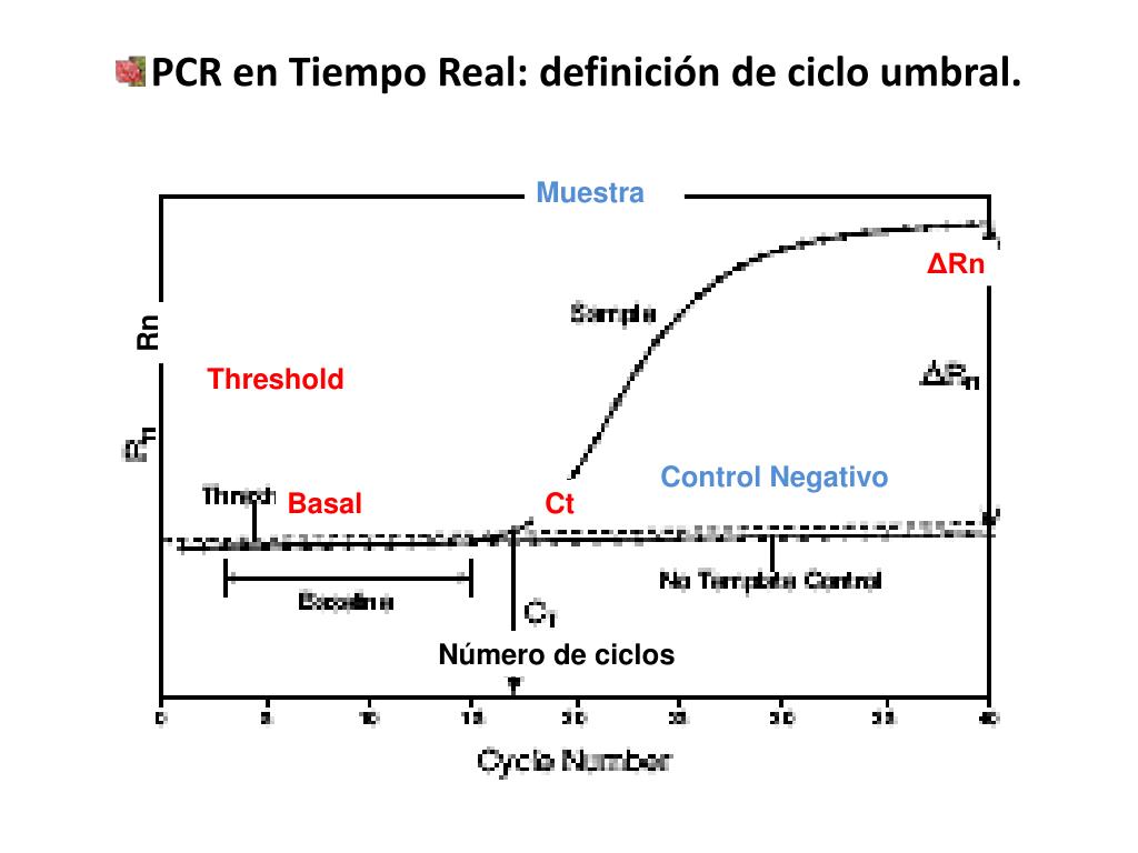 PPT - Trabajo Práctico Nº 4: PCR en Tiempo Real PowerPoint Presentation ...