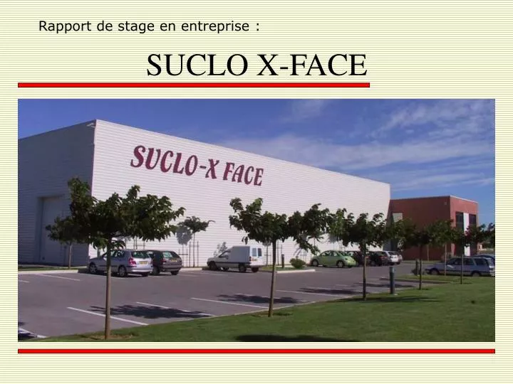 PPT - SUCLO X-FACE PowerPoint Presentation, free download - ID:4616924