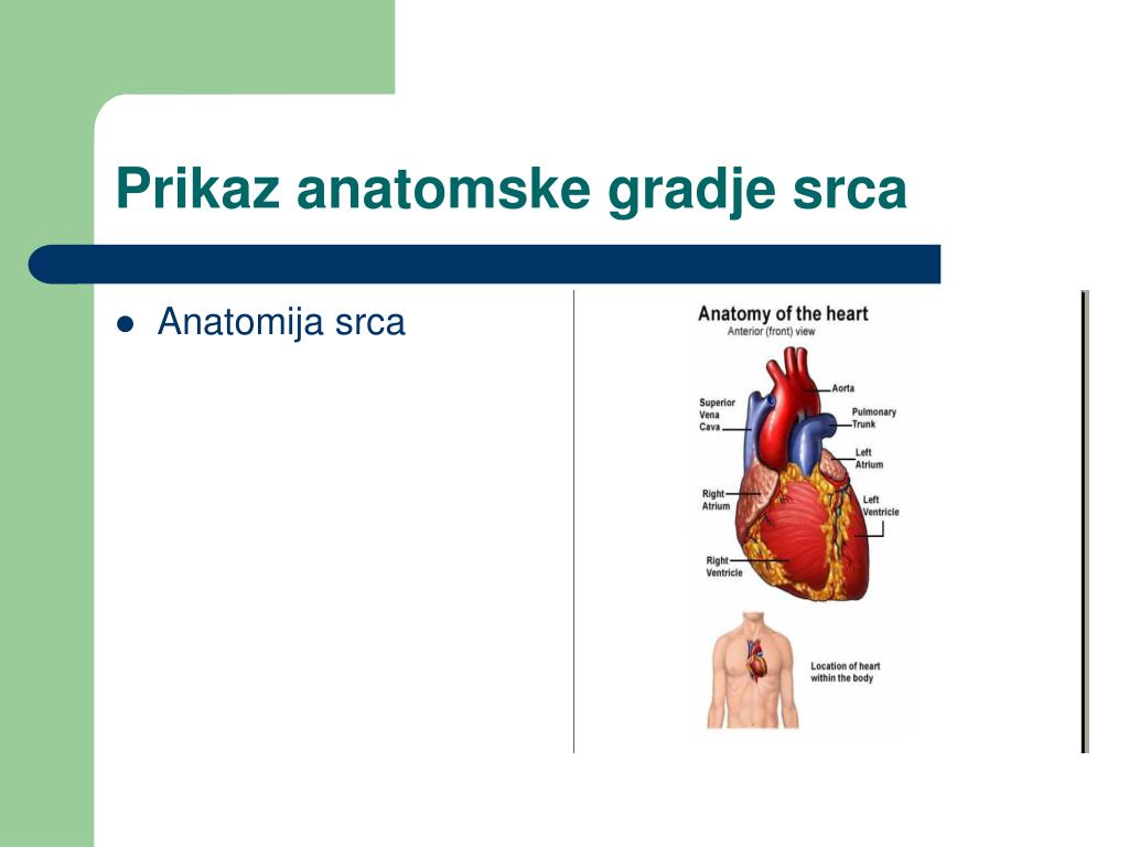 PPT - Medicina i svijet oko nas PowerPoint Presentation, free download ...