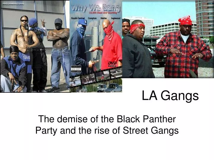 PPT - LA Gangs PowerPoint Presentation, free download - ID:4617867