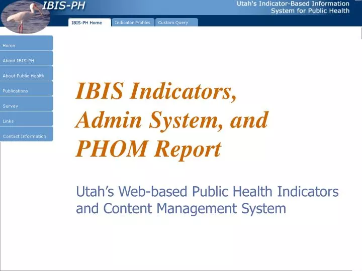PPT - IBIS Indicators, Admin System, and PHOM Report PowerPoint ...
