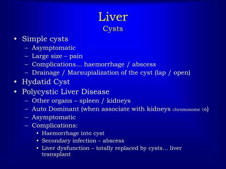 PPT - Liver PowerPoint Presentation - ID:4619306