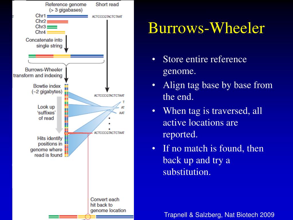 PPT - High Throughput Sequencing PowerPoint Presentation, free download ... PPT - High Throughput Sequencing PowerPoint Presentation, free download ...