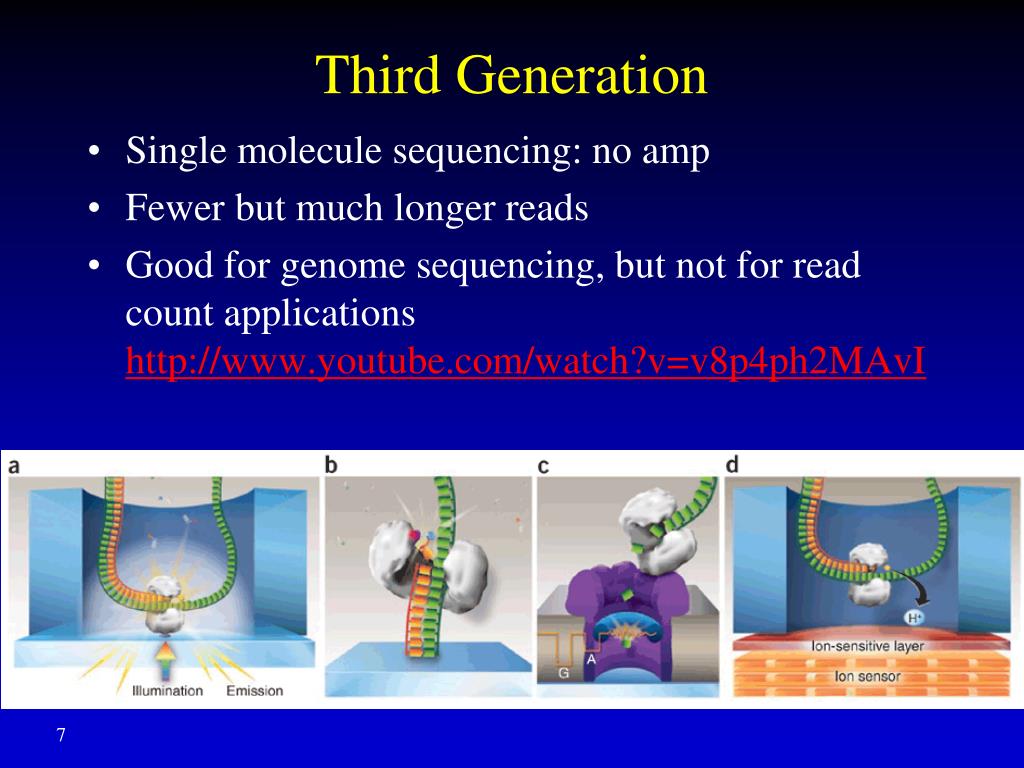 PPT - High Throughput Sequencing PowerPoint Presentation, free download ... PPT - High Throughput Sequencing PowerPoint Presentation, free download ...