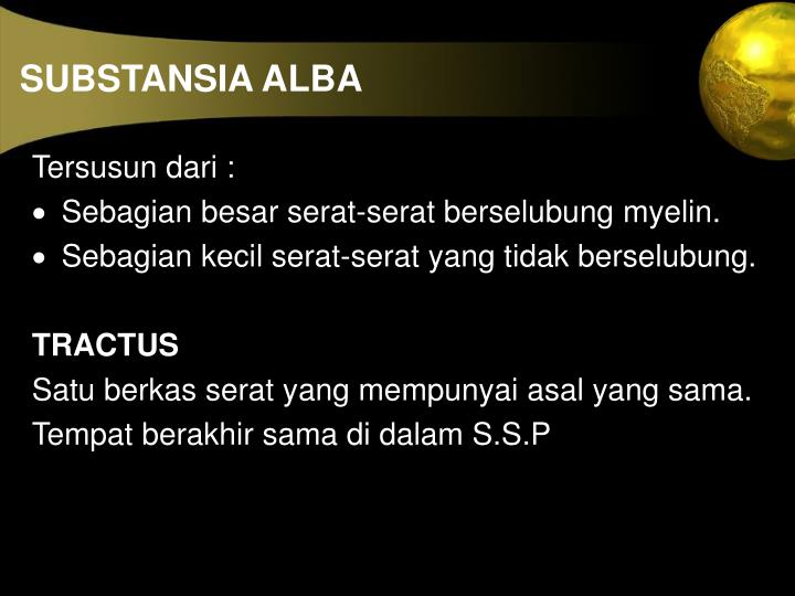PPT - SUSUNAN SARAF PowerPoint Presentation - ID:4623205