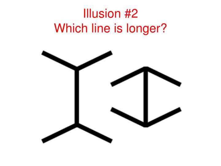 PPT - OPTICAL ILLUSIONS The Art of Seeing PowerPoint Presentation - ID ...