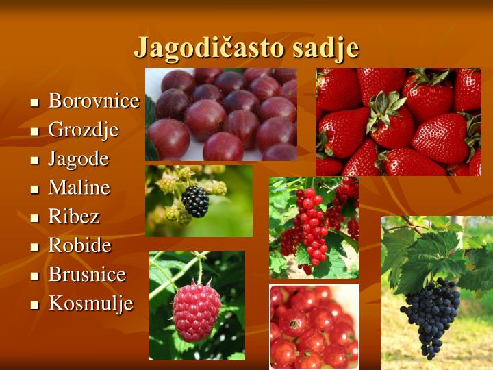 PPT - Koščično sadje PowerPoint Presentation - ID:4625230