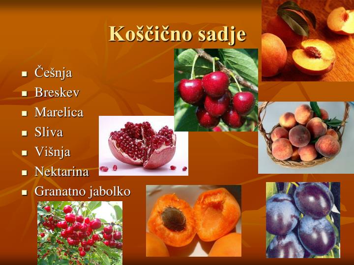 PPT - Koščično sadje PowerPoint Presentation - ID:4625230
