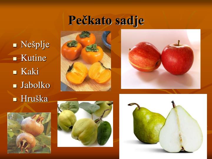 PPT - Koščično sadje PowerPoint Presentation - ID:4625230