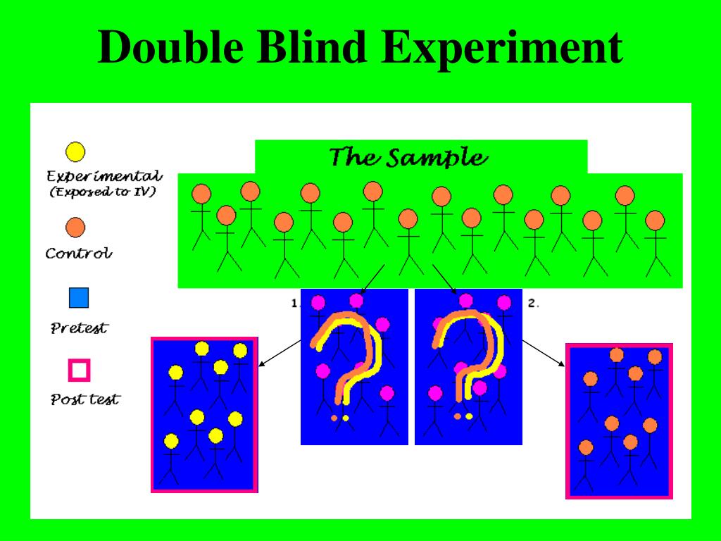 PPT BHV 390 Experiments PowerPoint Presentation Free Download ID PPT BHV 390 Experiments PowerPoint Presentation Free Download ID