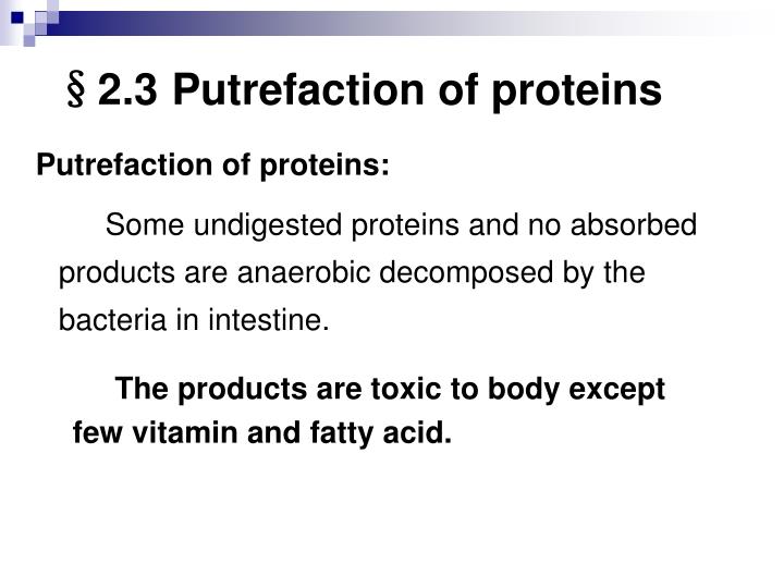 PPT - Amino Acid Metabolism PowerPoint Presentation - ID:4626438