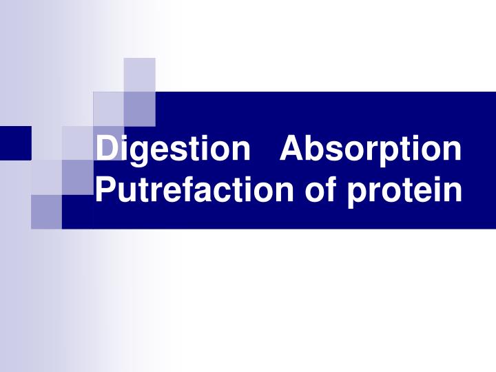 PPT - Amino Acid Metabolism PowerPoint Presentation - ID:4626438