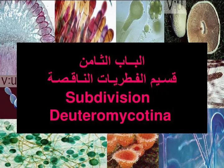 PPT - البــاب الثـامن قسـيم الفـطريـات النـاقـصـة Subdivision ...