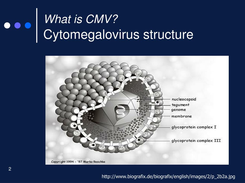 PPT - TMR Journal Club - March 5, 2008 Maggie Constantine, MD, FRCPC ...