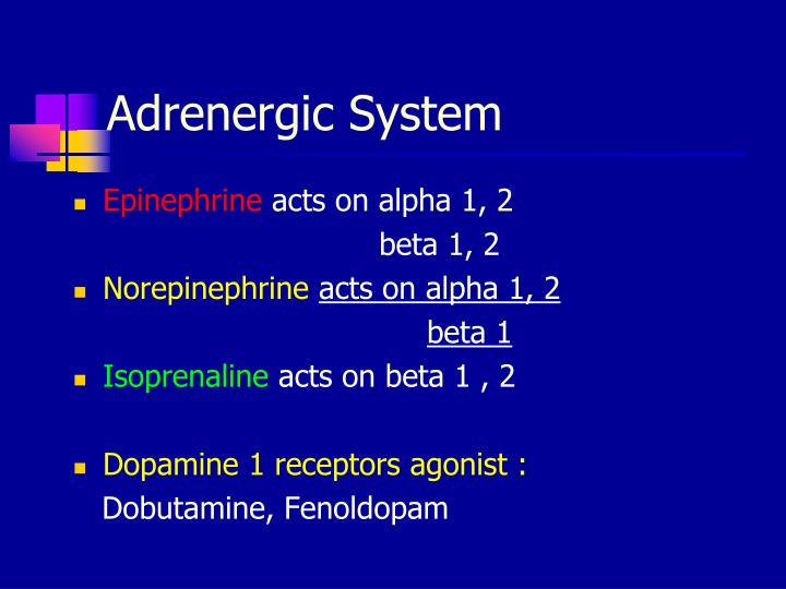 PPT - ADRENERGIC TRANSMISSION PowerPoint Presentation - ID:4628737