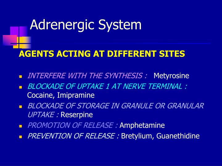 PPT - ADRENERGIC TRANSMISSION PowerPoint Presentation - ID:4628737