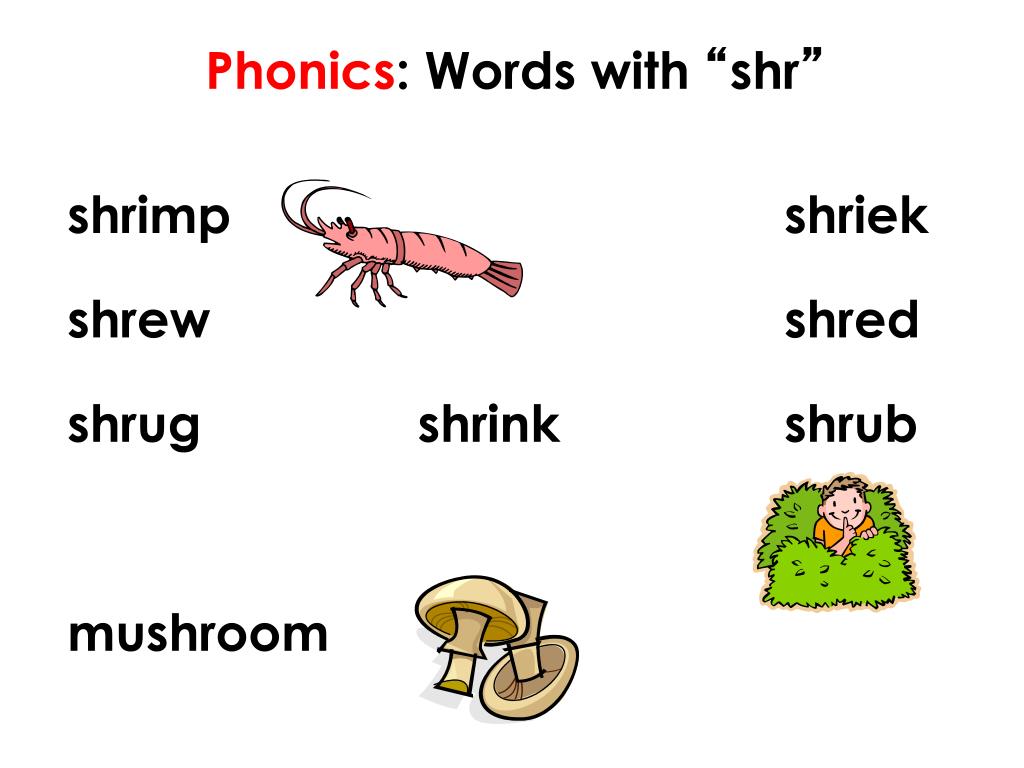 PPT - Bible and English Mrs. DesMarais PowerPoint Presentation, free ...