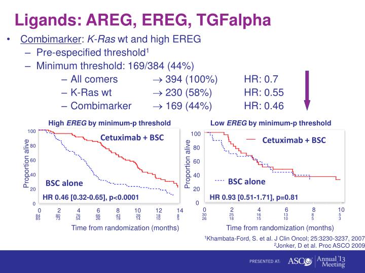 PPT - Predictive Biomarkers of EGFR Targeted Therapy: Beyond KRAS ...