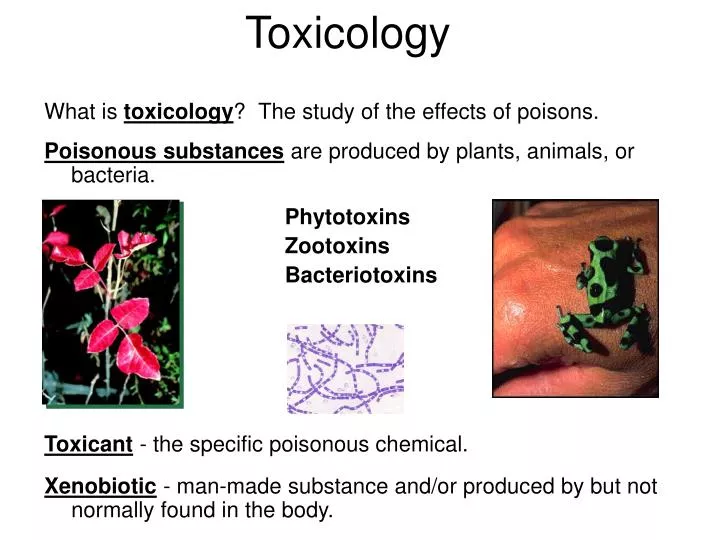 PPT - Toxicology PowerPoint Presentation, free download - ID:4633110