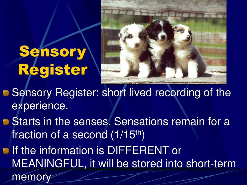 PPT - Cognitive Approach PowerPoint Presentation, free download - ID ...