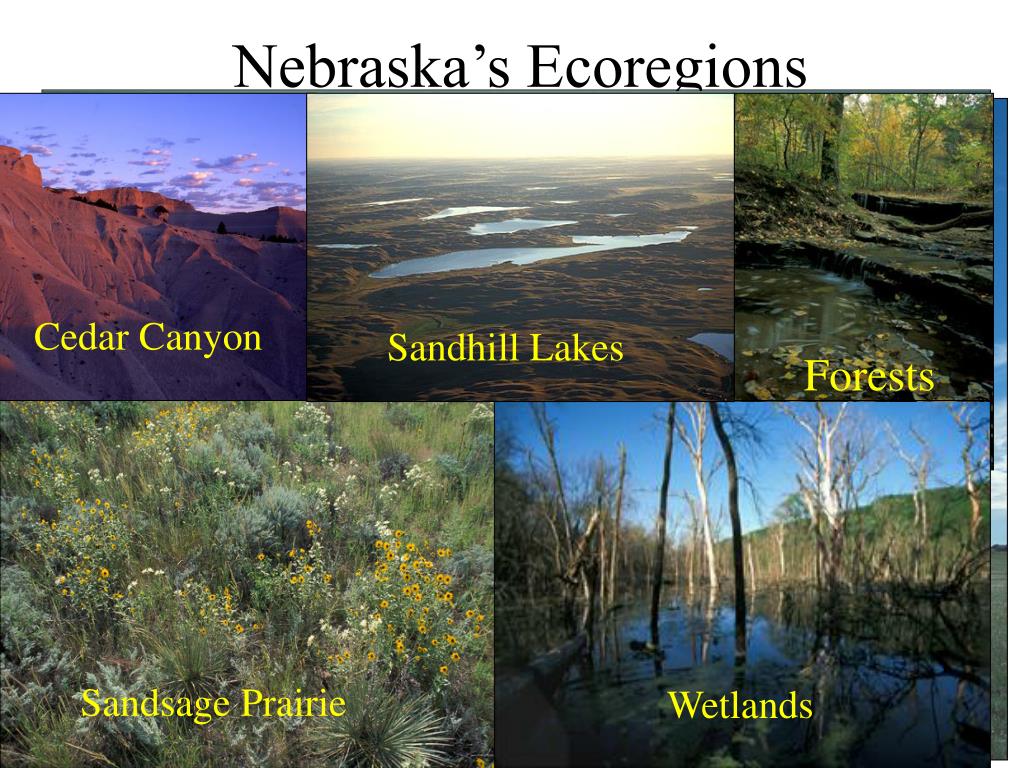 PPT - N ebraska’s N atural L egacy P roject A blueprint for conserving ...