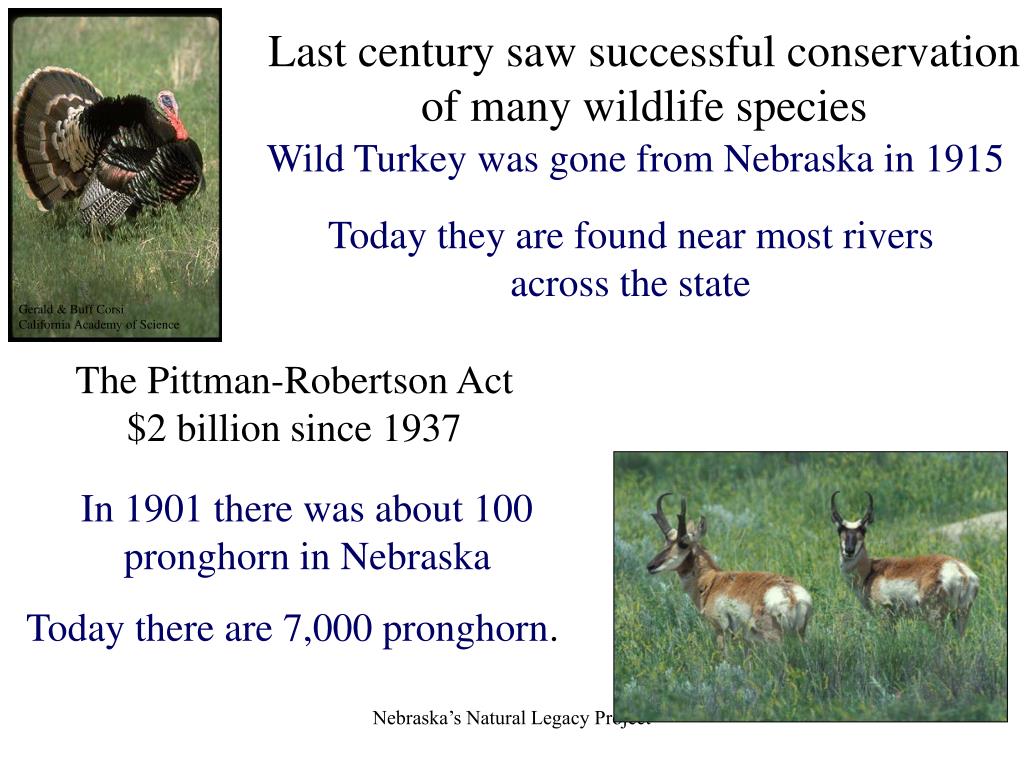 PPT - N ebraska’s N atural L egacy P roject A blueprint for conserving ...