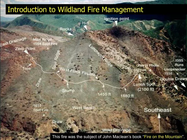PPT - Introduction to Wildland Fire Management PowerPoint Presentation ...